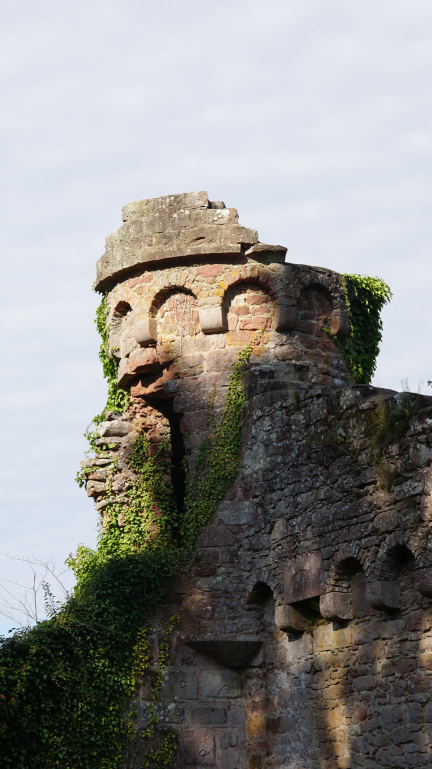Die Wildenburg – Stauferzeitliche Burgruine im Odenwald – Thomas Hesbacher